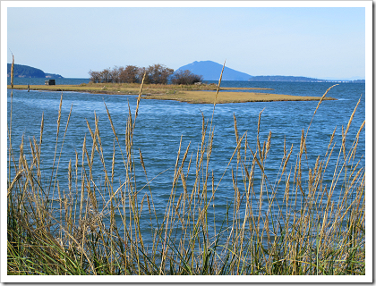 Redmond Library: Padilla Bay Shore Trail: A Path to Nature